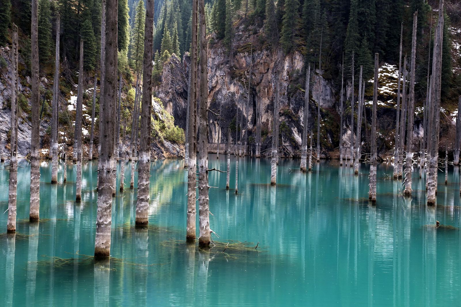 Underwater Forest Of Lake Kaindy