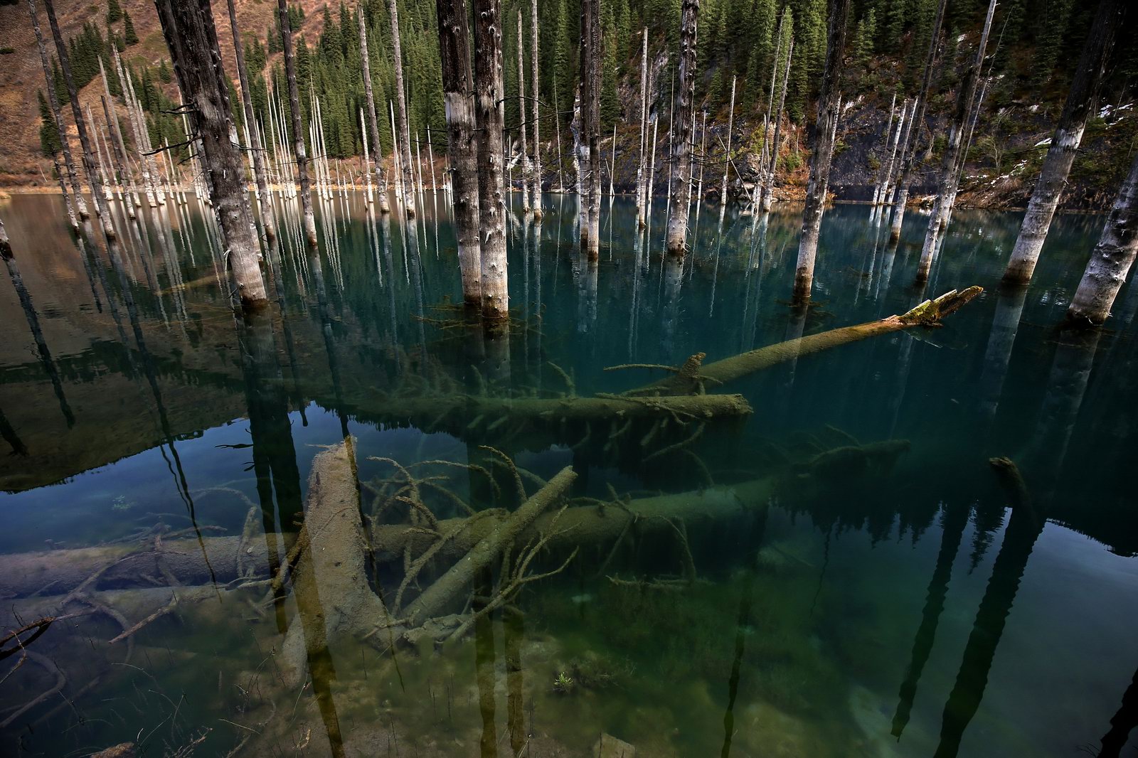 Sunken Forest Of Lake Kaindy Kazakhstan Travel And Tourism Blog